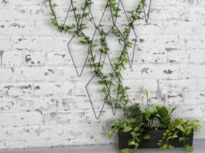 Anno, la treille murale modulable - Joli Place