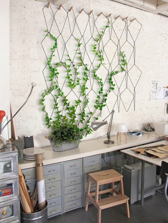 Anno, la treille murale modulable