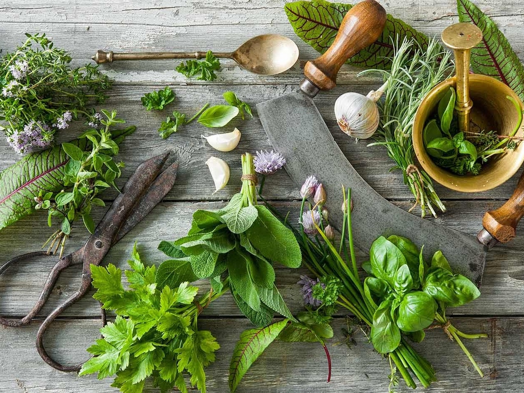 Mettez-vous au potager d’intérieur