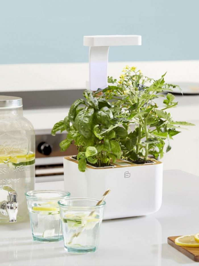 Mettez-vous au potager d’intérieur