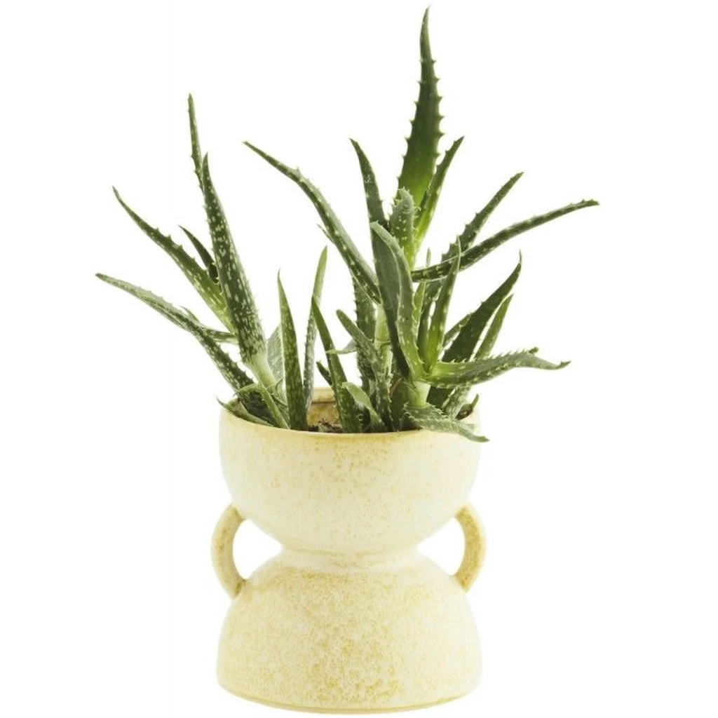 Cache-pot céramique coloré : où en trouver - Joli Place