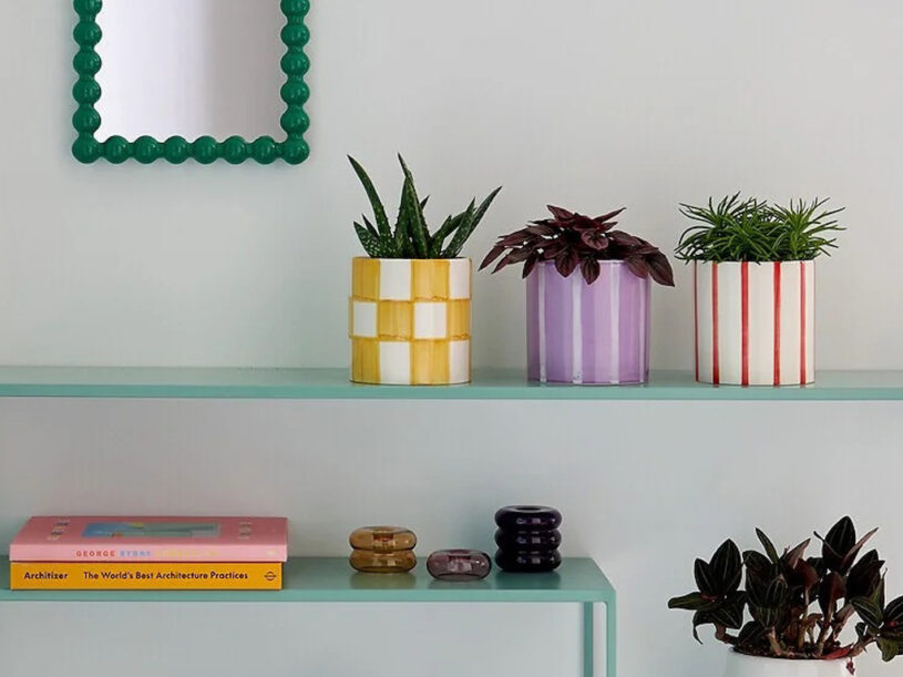 Cache-pot céramique coloré : où en trouver - Joli Place